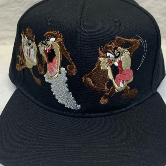 H3 Headwear | Accessories | Nwt H3 Looney Tunes Baseball Cap Tasmanian ...